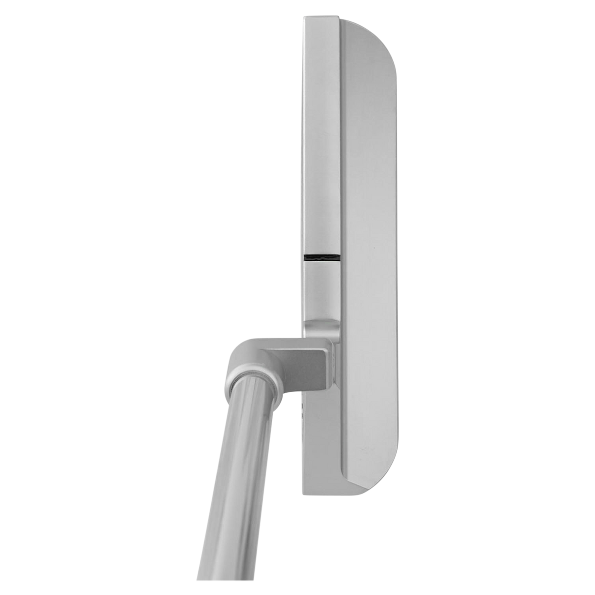 Betti Bomb DASS Tour Dept. Hexperimental Proto MC-10 Putter ...