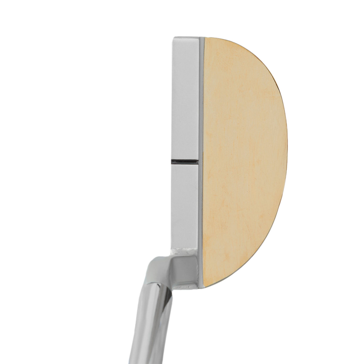 Zombee DASS Hexperimental Proto Goombah Putter | Bettinardi Golf – Studio B